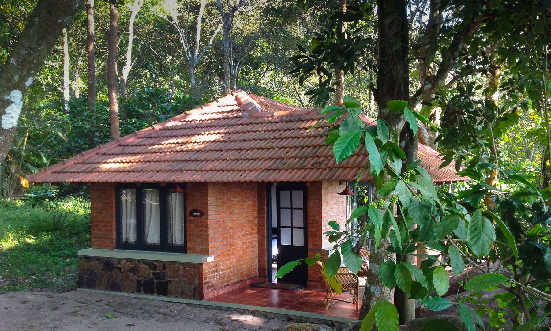 top resorts in Wayanad | forest stay in Wayanad